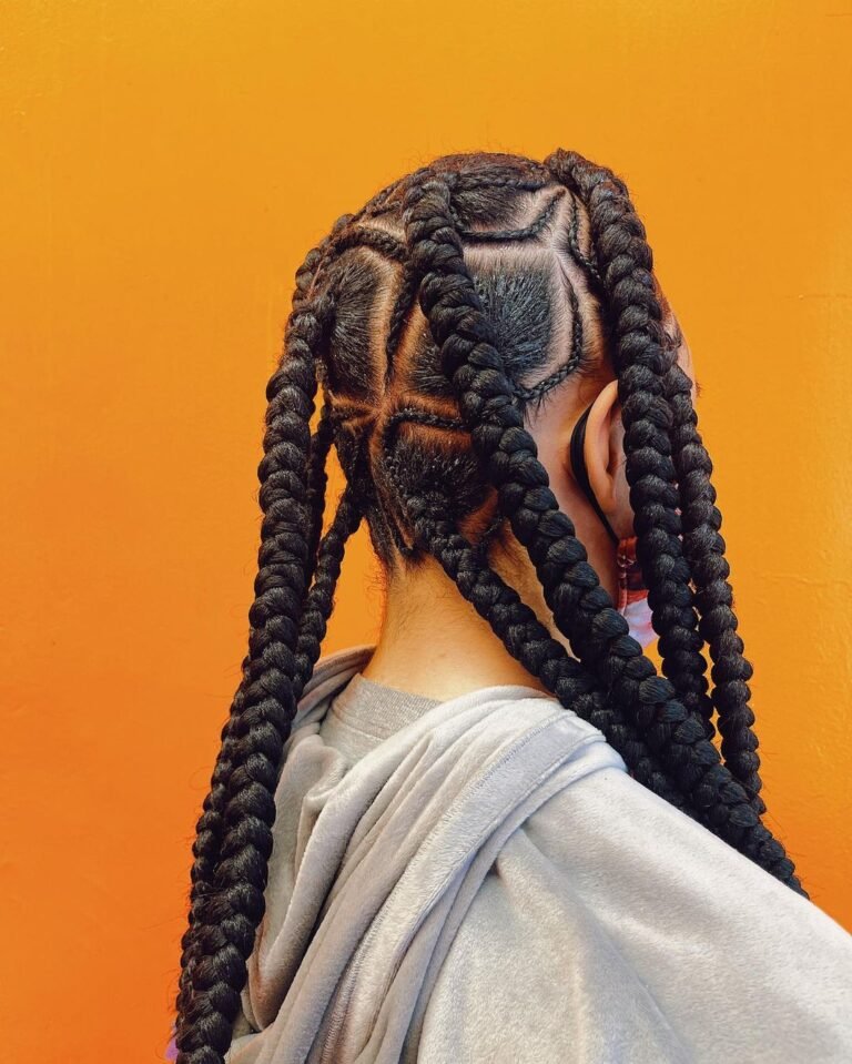 20 Trendy Ways to Style Your Box Braids – Forever Braids
