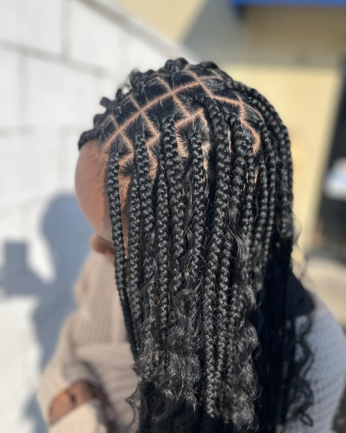 100 Different Braid Styles for All Hair Types – Forever Braids